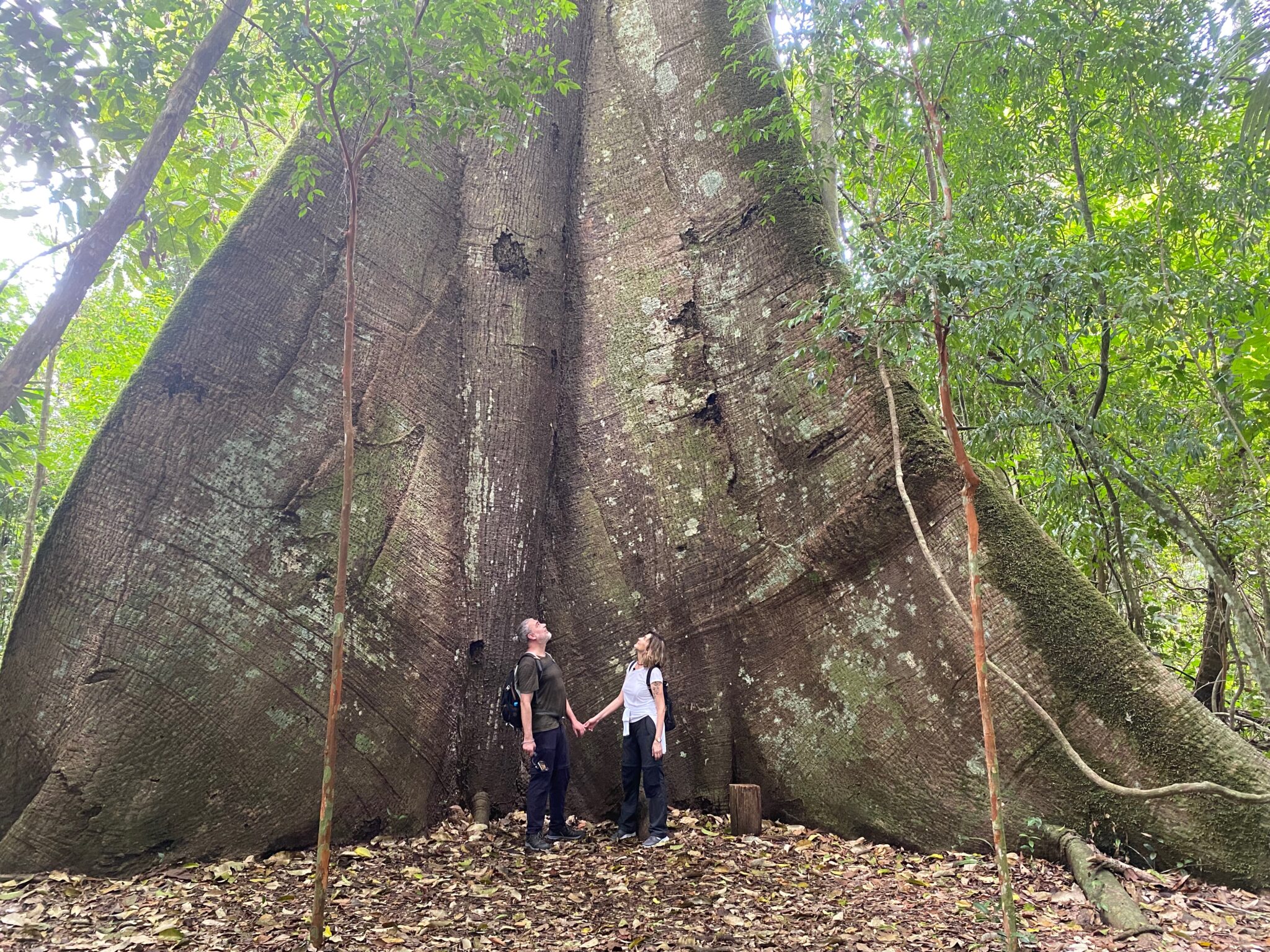 Da Lapinha da Serra à Flona Tapajós: o poder das comunidades para um turismo responsável ...